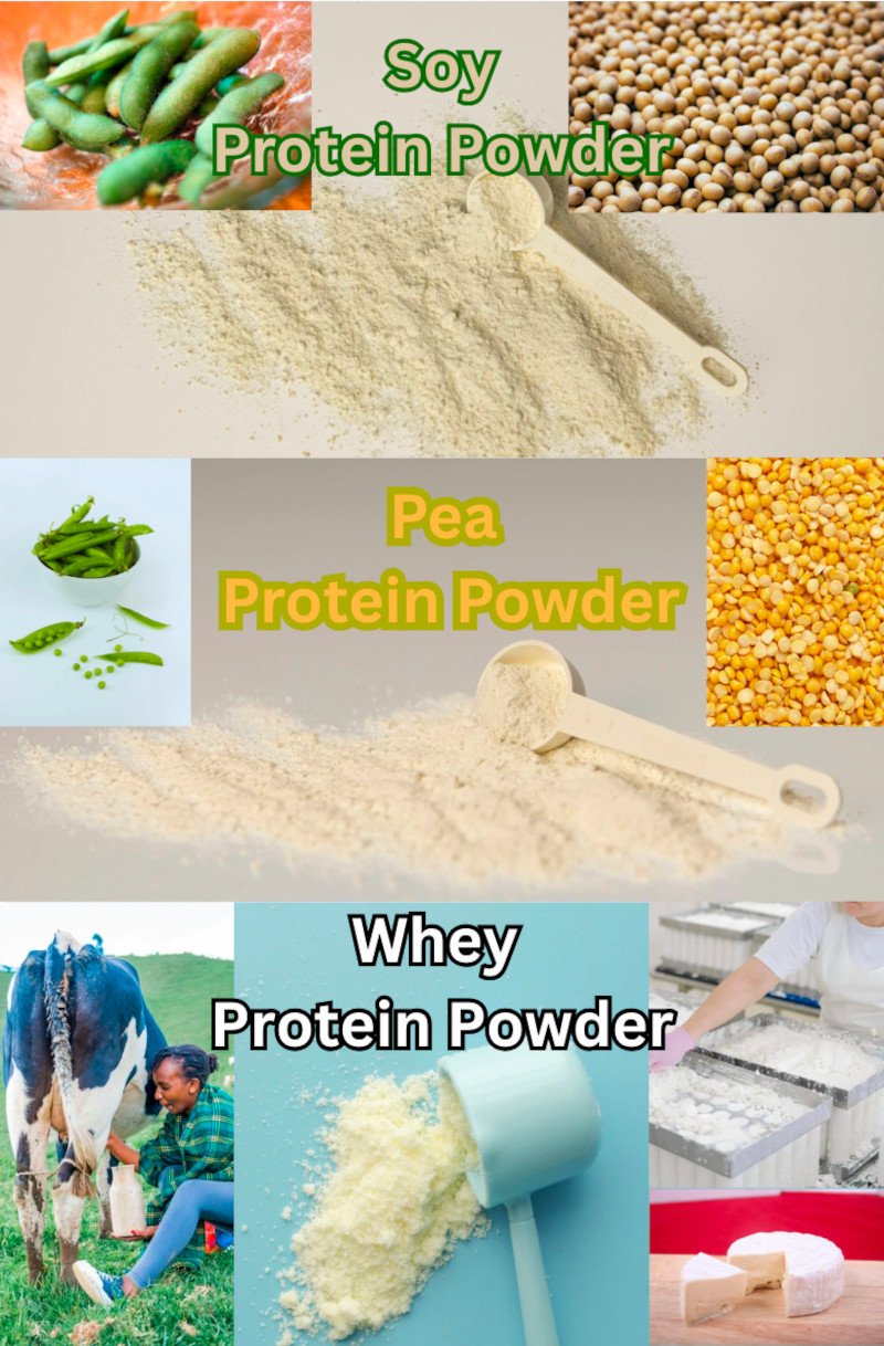 Best Protein Powder for Skinny Fat - Skinny Fat Science